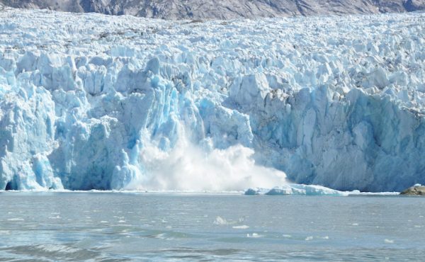 14228014417_998aa06726_k - New Matilda