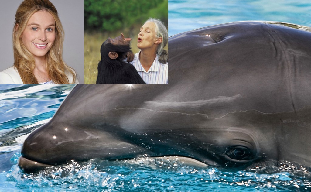 Sarah Lucas’ Light Bulb Moment On Dolphin Captivity, Courtesy Of ...