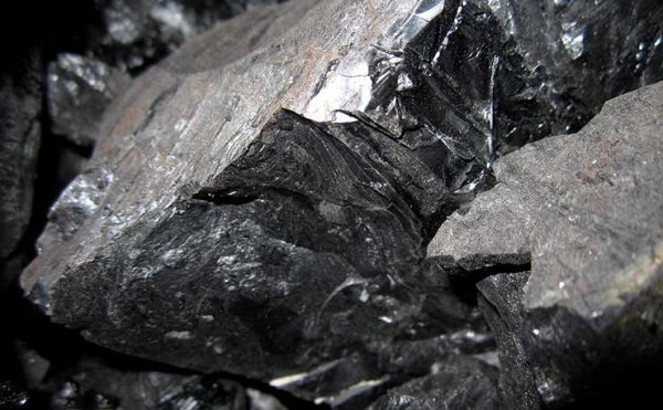 The Big Coal Con Car Registration In Queensland Brings In More Revenue the-big-coal-con-car-registration-in-queensland-brings-in-more-revenue