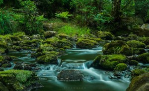 In New Zealand, The Land Can Be A Person. Meanwhile, in Australia ...