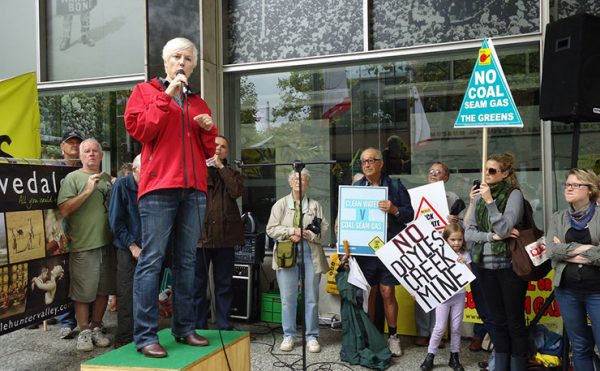 Bad Blood: Cate Faehrmann And The Battle For The NSW Greens, Part 3 ...